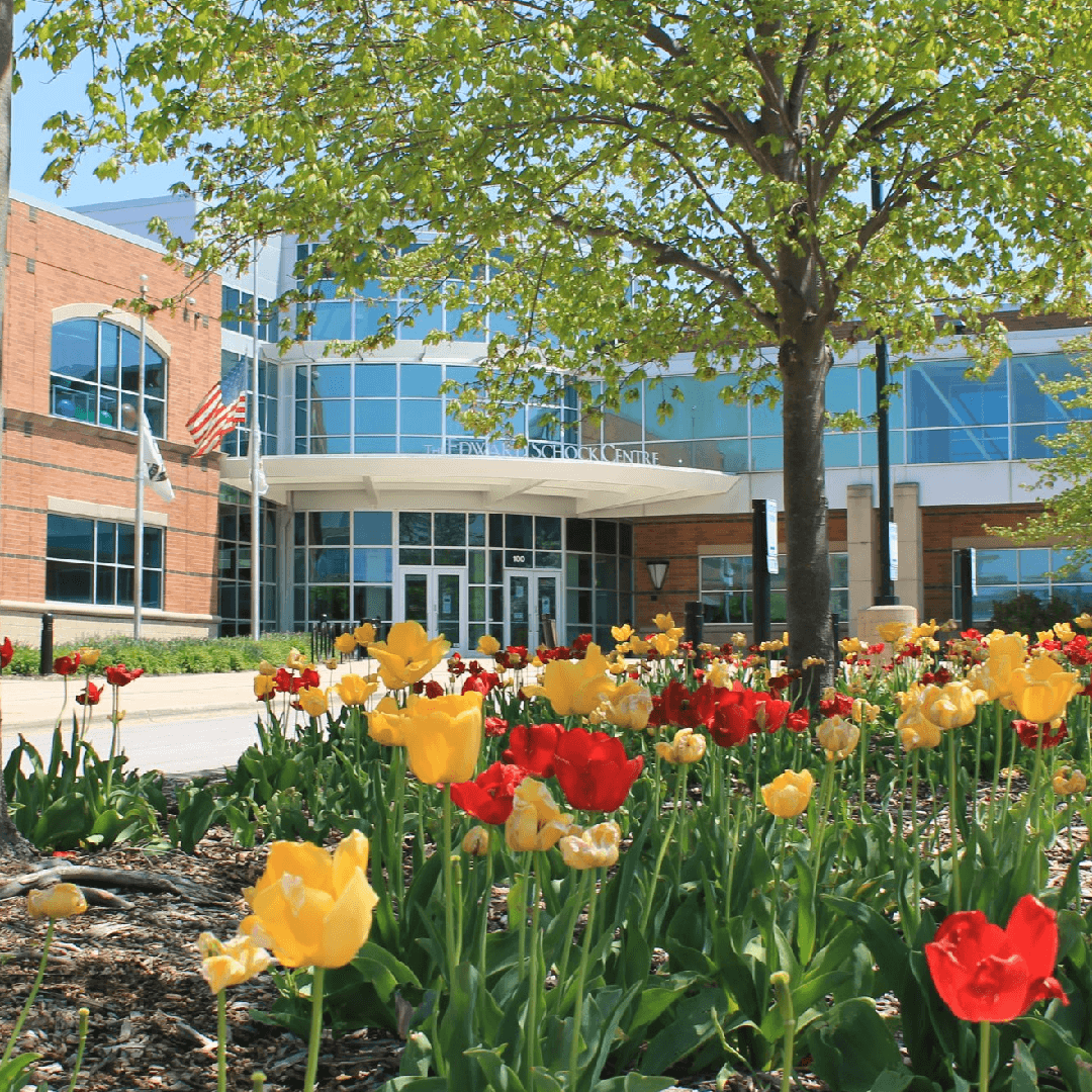 The Centre of Elgin - Explore Elgin Area